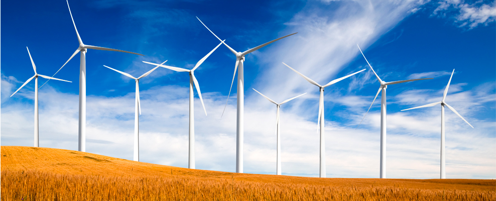 Best practices underscore wind industry responsibility in Canadian ...