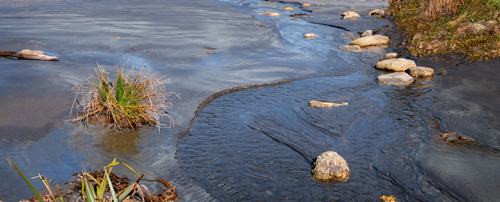 Watershed protection in British Columbia - Municipal World