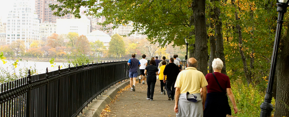 Trees in the city - Municipal World
