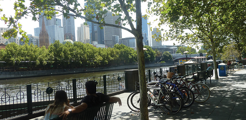 Animating our public realm - Municipal World