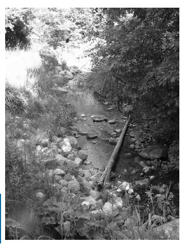 Integrated watershed management - moving from concept to practice in ...