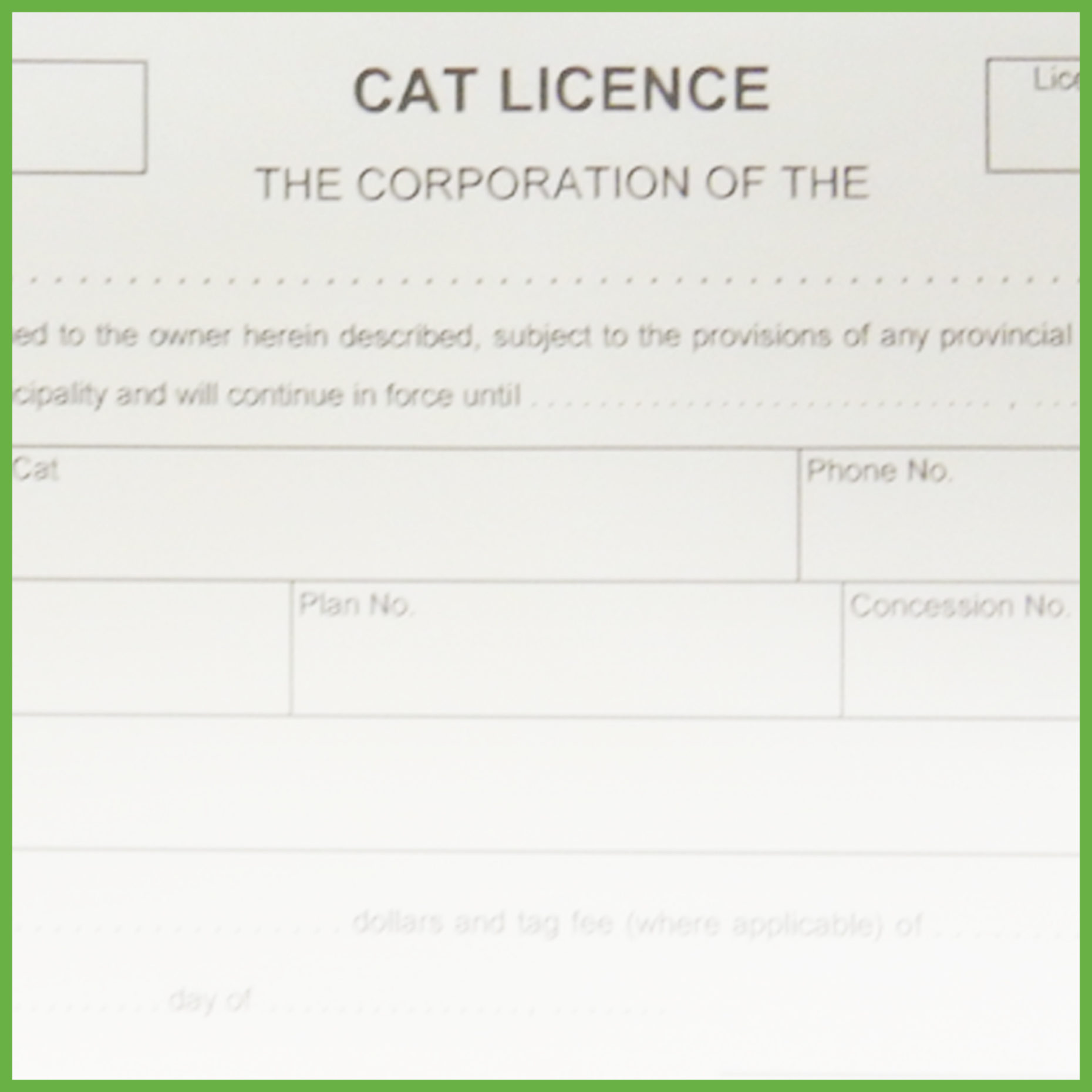 Dog Licence Receipt Book - Municipal Supplies - Municipal World