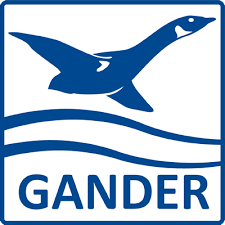Gander balances 2021 budget during uncertain times - Municipal World