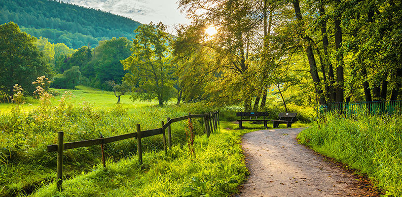 Blazing the path to net-zero - Municipal World