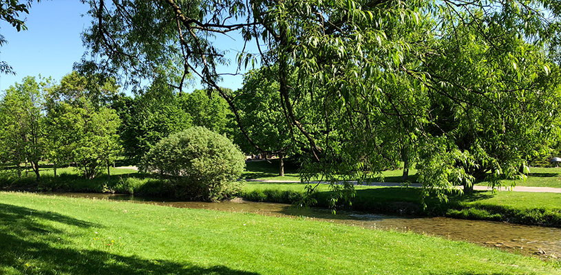 Building liveable, climate-resilient communities - Municipal World