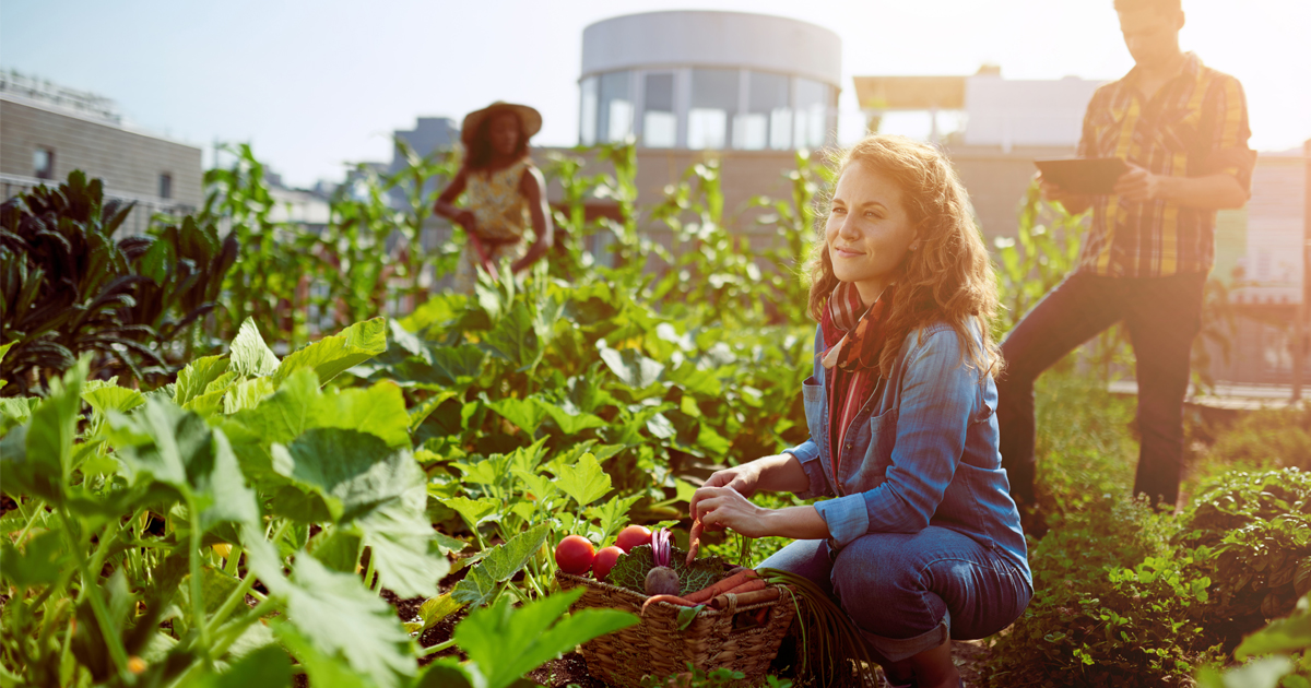 Make your municipality a socially connected community - Municipal World