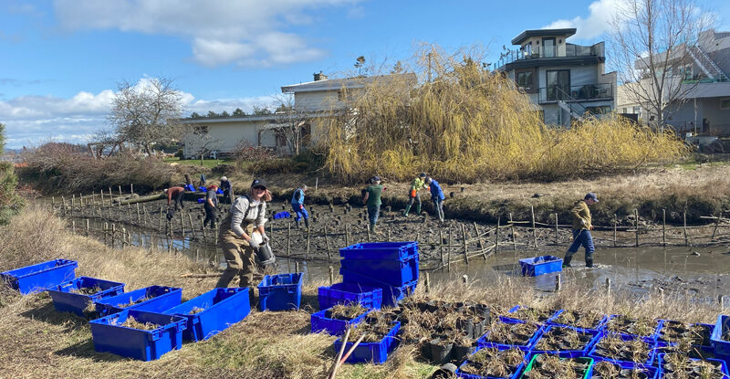 Nature as engineer - Municipal World