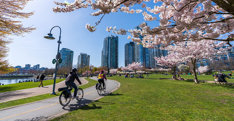 Current state of climate action in Canadian municipalities - Municipal ...